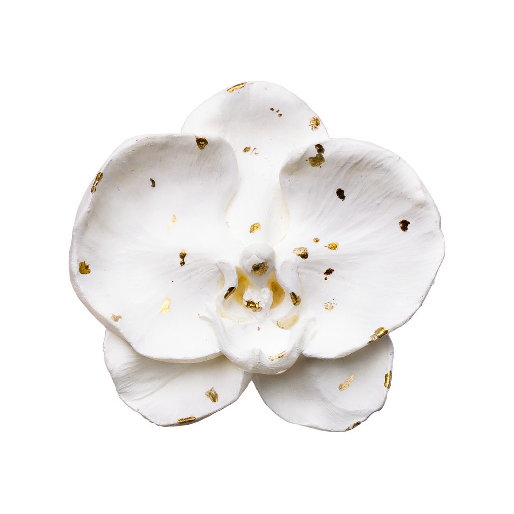 Nestbloom | Premium Edible Bird's Nest | Luxury Food Gift